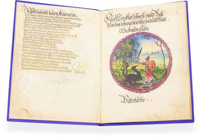 Alchemical Didactic Poem from 1556 - Ziereis Facsimiles