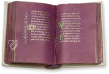 Book of Hours of Cardinal Carafa - Ziereis Facsimiles