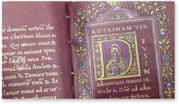 Book of Hours of Cardinal Carafa - Ziereis Facsimiles