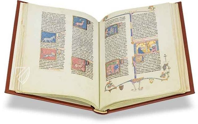 Book of Treasures - Ziereis Facsimiles