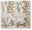 Codex Fejérváry-Mayer - Ziereis Facsimiles