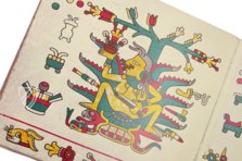 Codex Laud - Ziereis Facsimiles