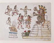 Codex Magliabechiano - Ziereis Facsimiles