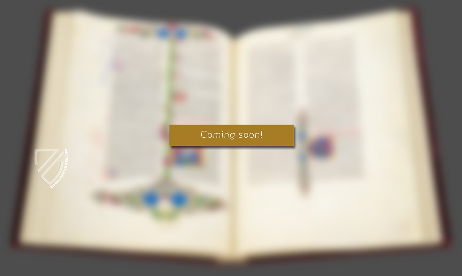 Codex Rustici - Ziereis Facsimiles