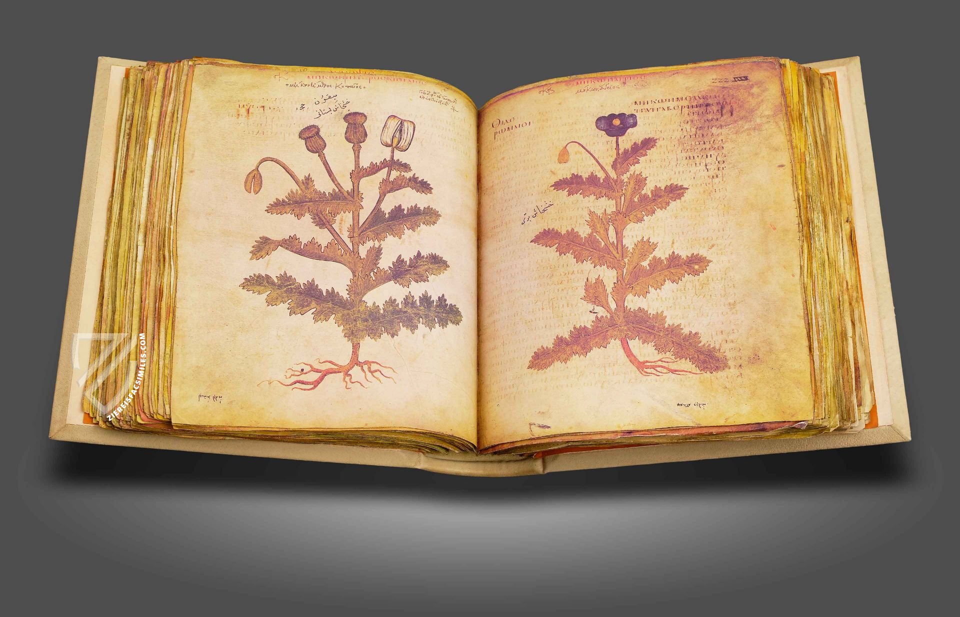 Vienna Dioscorides - Ziereis Facsimiles