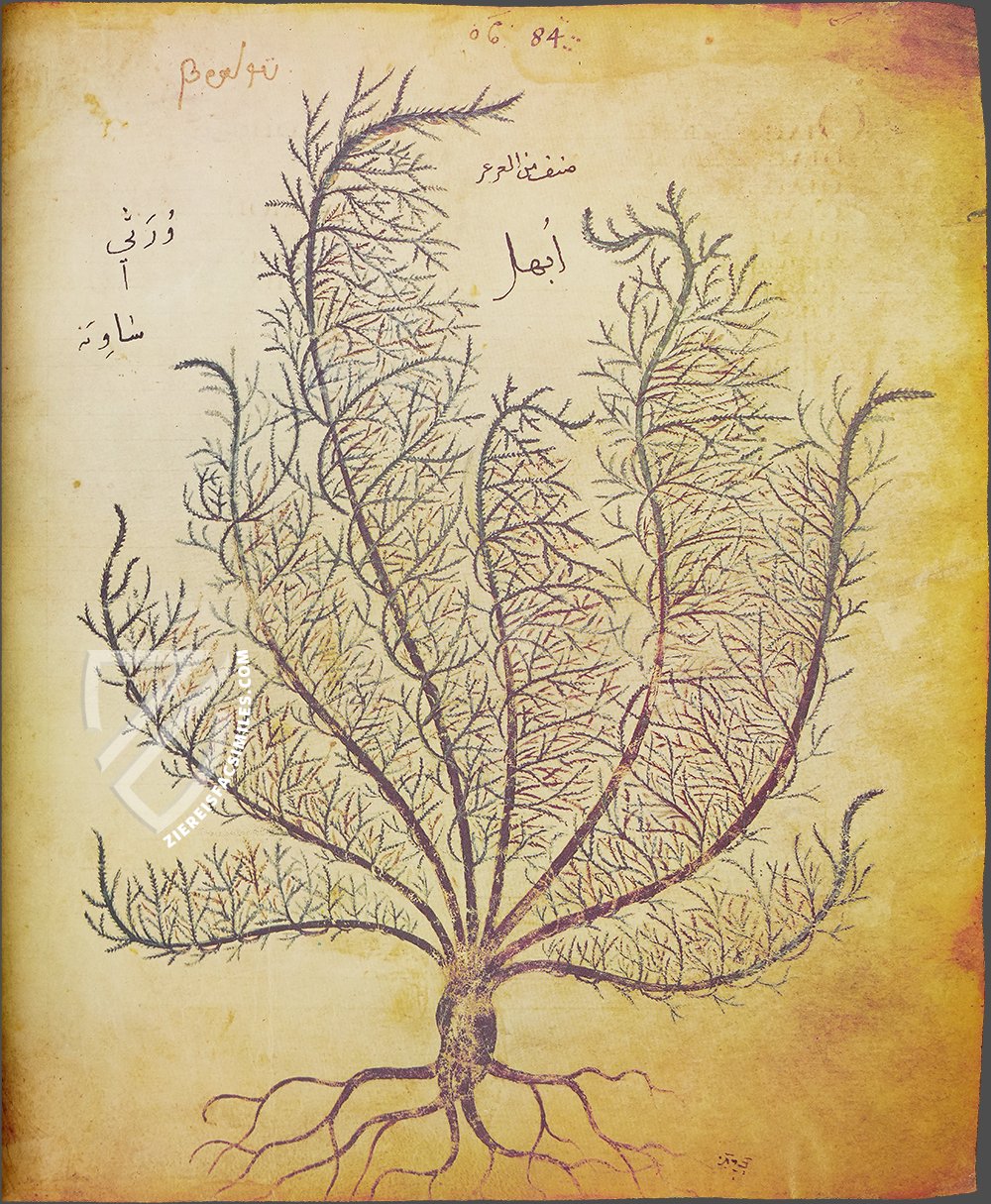 Vienna Dioscorides - Ziereis Facsimiles