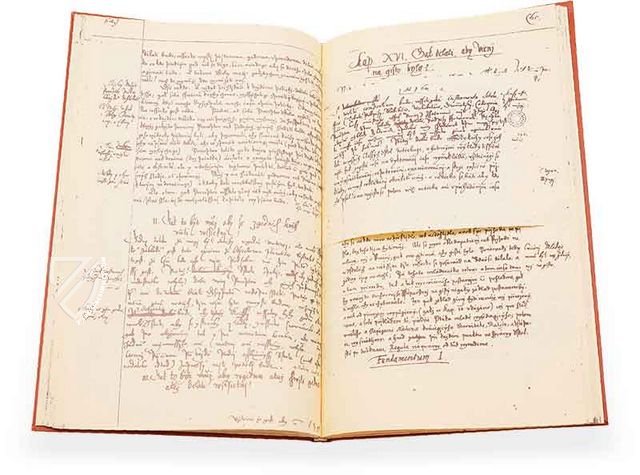 Great Didactic - Ziereis Facsimiles