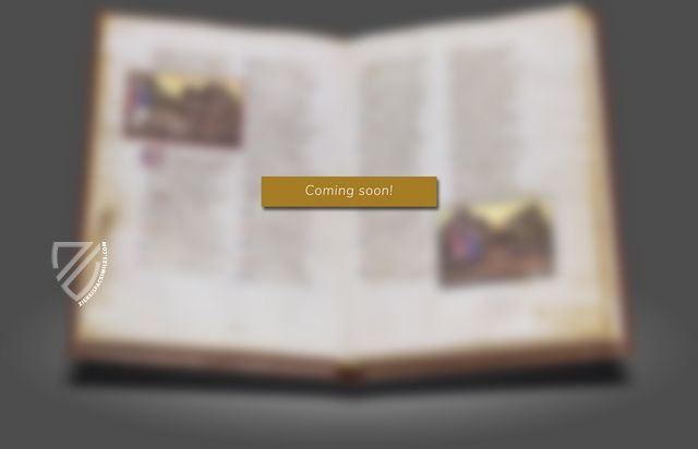 Leonardo da Vinci: Codex Trivulzianus - Ziereis Facsimiles