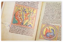 Oxford Bestiary - Ziereis Facsimiles