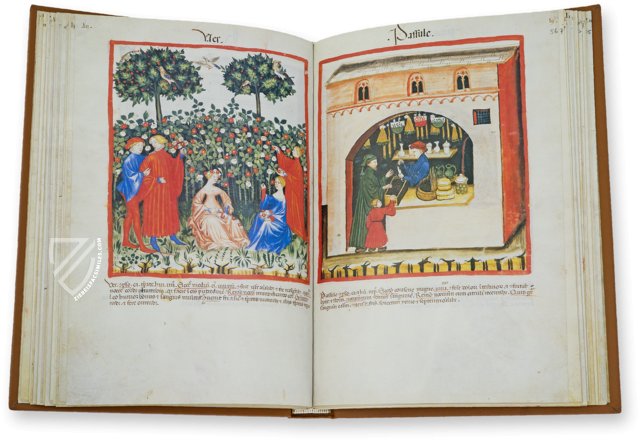 Tacuinum Sanitatis in Medicina - Ziereis Facsimiles