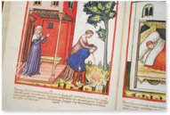 Tacuinum Sanitatis in Medicina - Ziereis Facsimiles