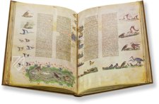 The Art of Falconry by Frederick II - Ziereis Facsimiles