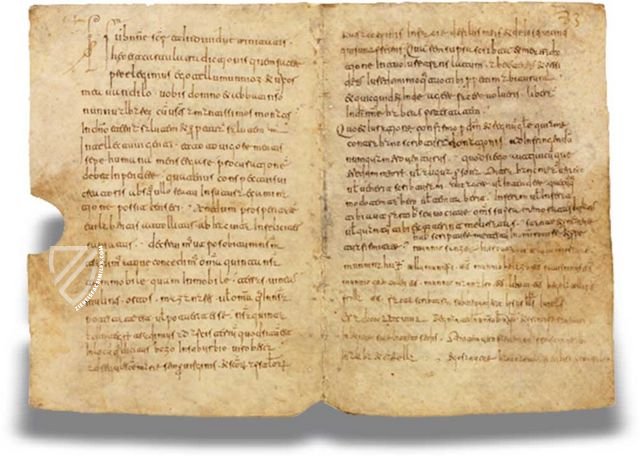 Valpuesta Cartulary - Ziereis Facsimiles