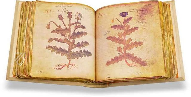 Vienna Dioscorides - Ziereis Facsimiles